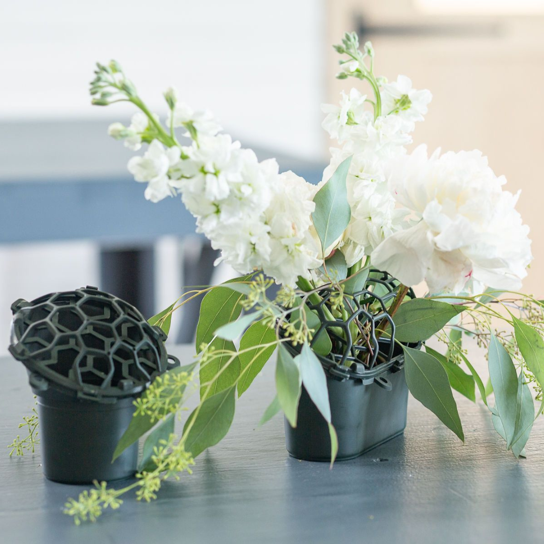 Holly Chapple Installation Mechanic | Foam-Free Reusable | 6" Egg & 4 ...