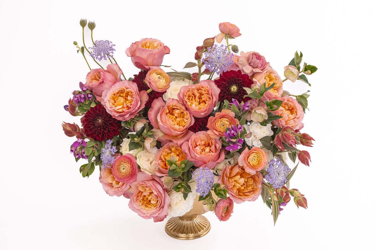 Edith David Austin Garden Rose | Hope Flower Farm