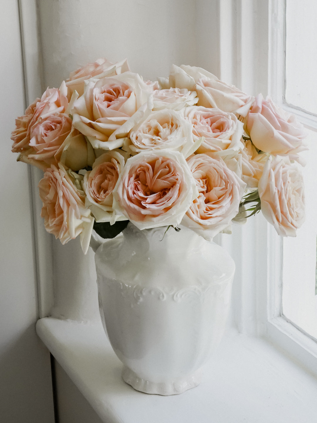 Deluxe & Princess Garden Roses - Princess Maya in Peach | Hope Flower Farm
